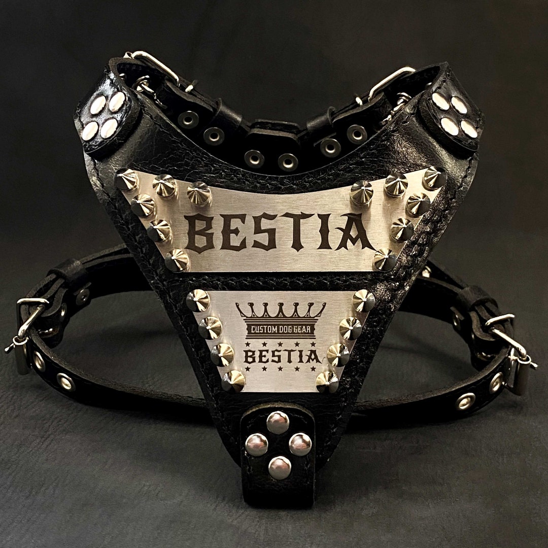 The "metal" Harness Small to Medium Size - Personalized - Etsy