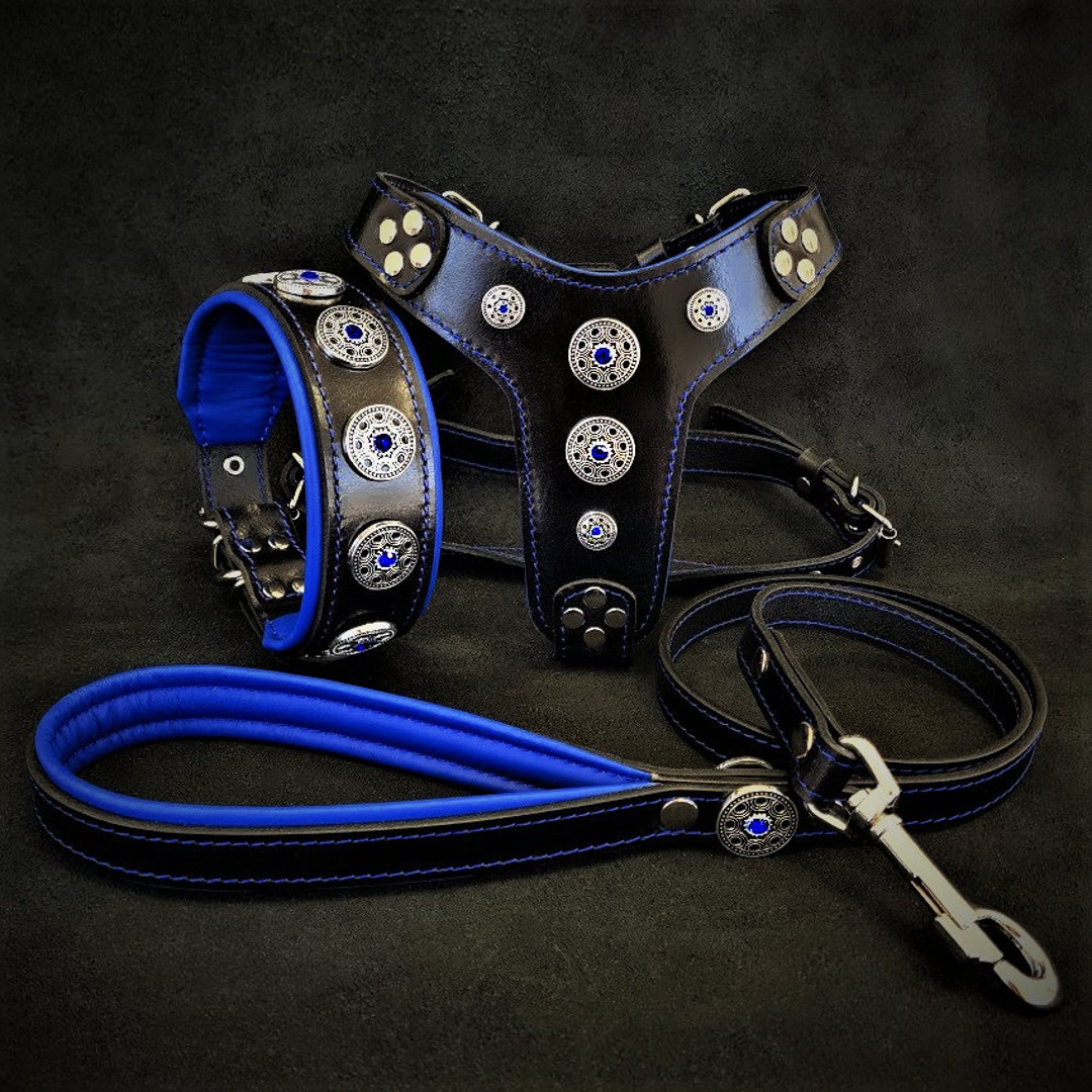 Handmade Leather Dog Collar Harness Leash Set – Rhinestone Rivet ...