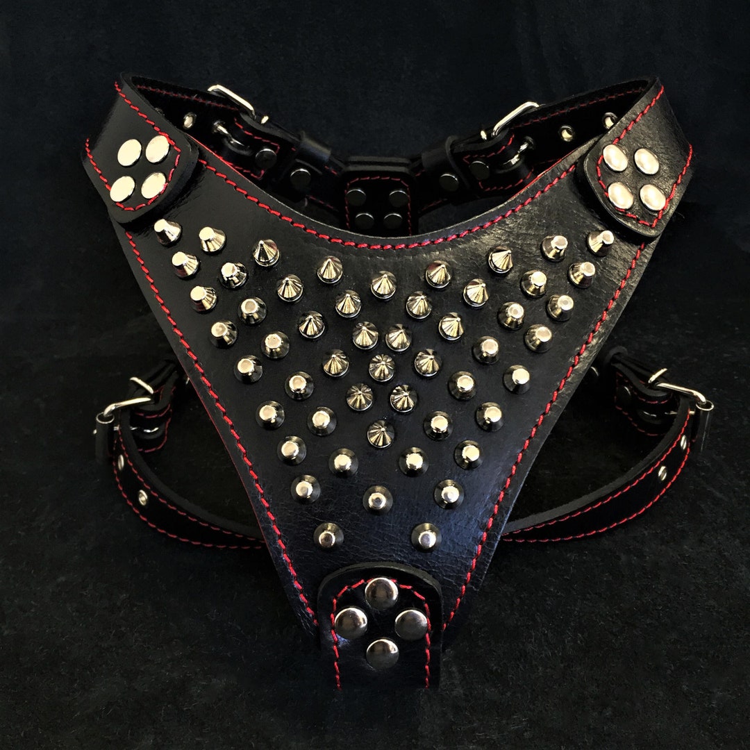 Bestia "frenchie" Leather Studded Harness. 100% Hand Made & Genuine ...