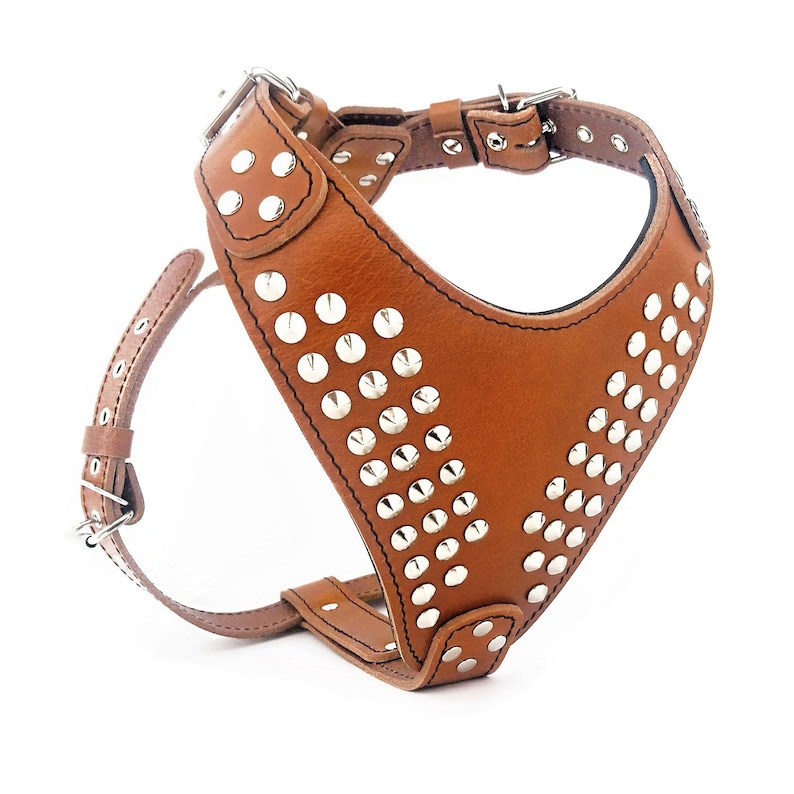 Bestia™ Genuine Leather "star" Harness. Studded. Soft Padded Chest ...