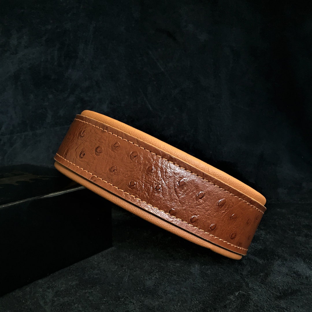 Ostrich Leather Dog Collar, Soft Padded, Handmade for Small to Giant ...