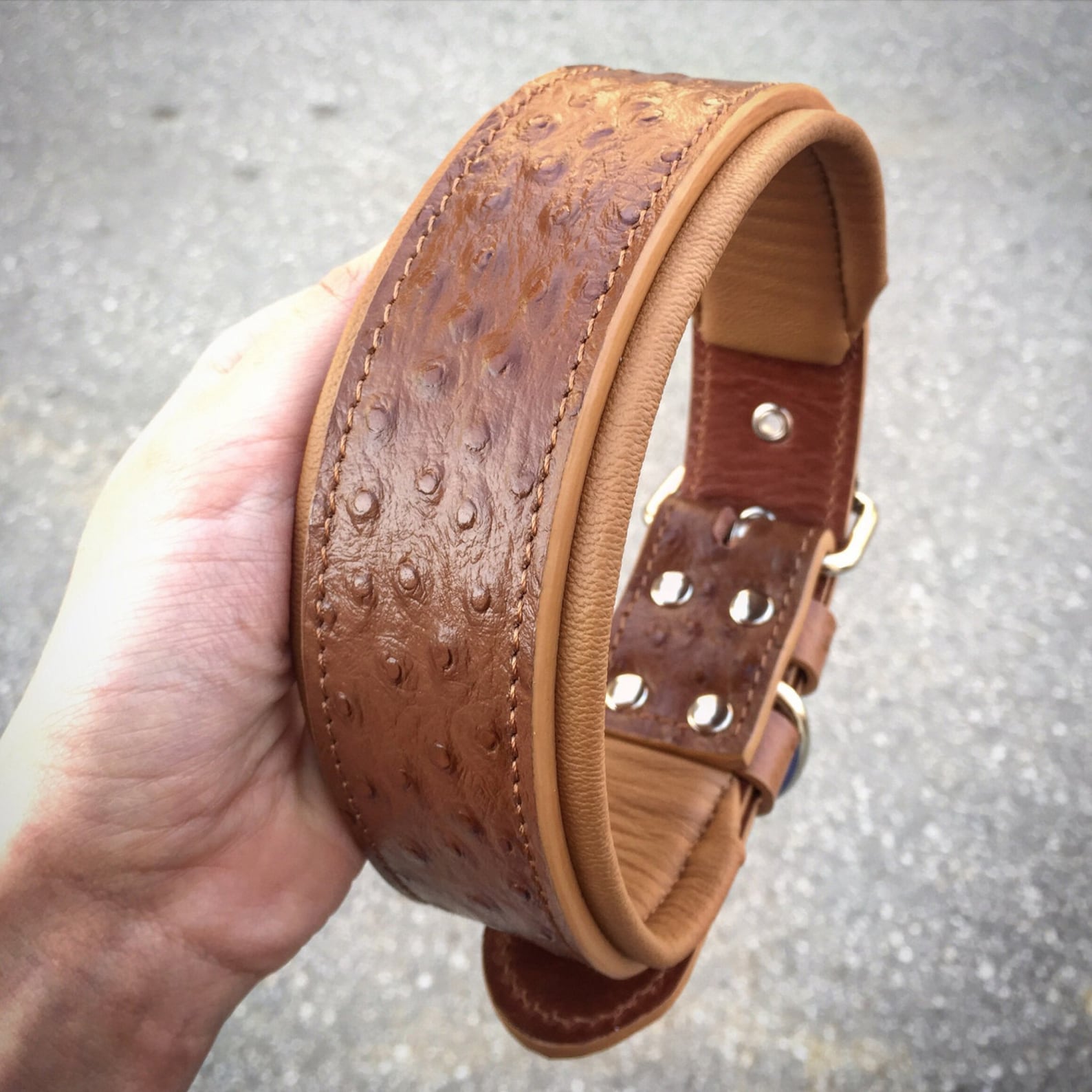 Ostrich Leather Dog Collar, Soft Padded, Handmade for Small to Giant ...