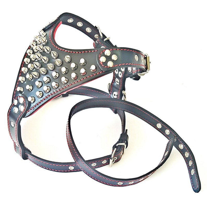 Bestia frenchie Leather Studded Harness. 100% Hand - Etsy