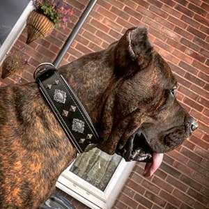 Bestia Aztec BLACK Leather Dog Collar for Big Dogs, Mastiffs, Dogo ...