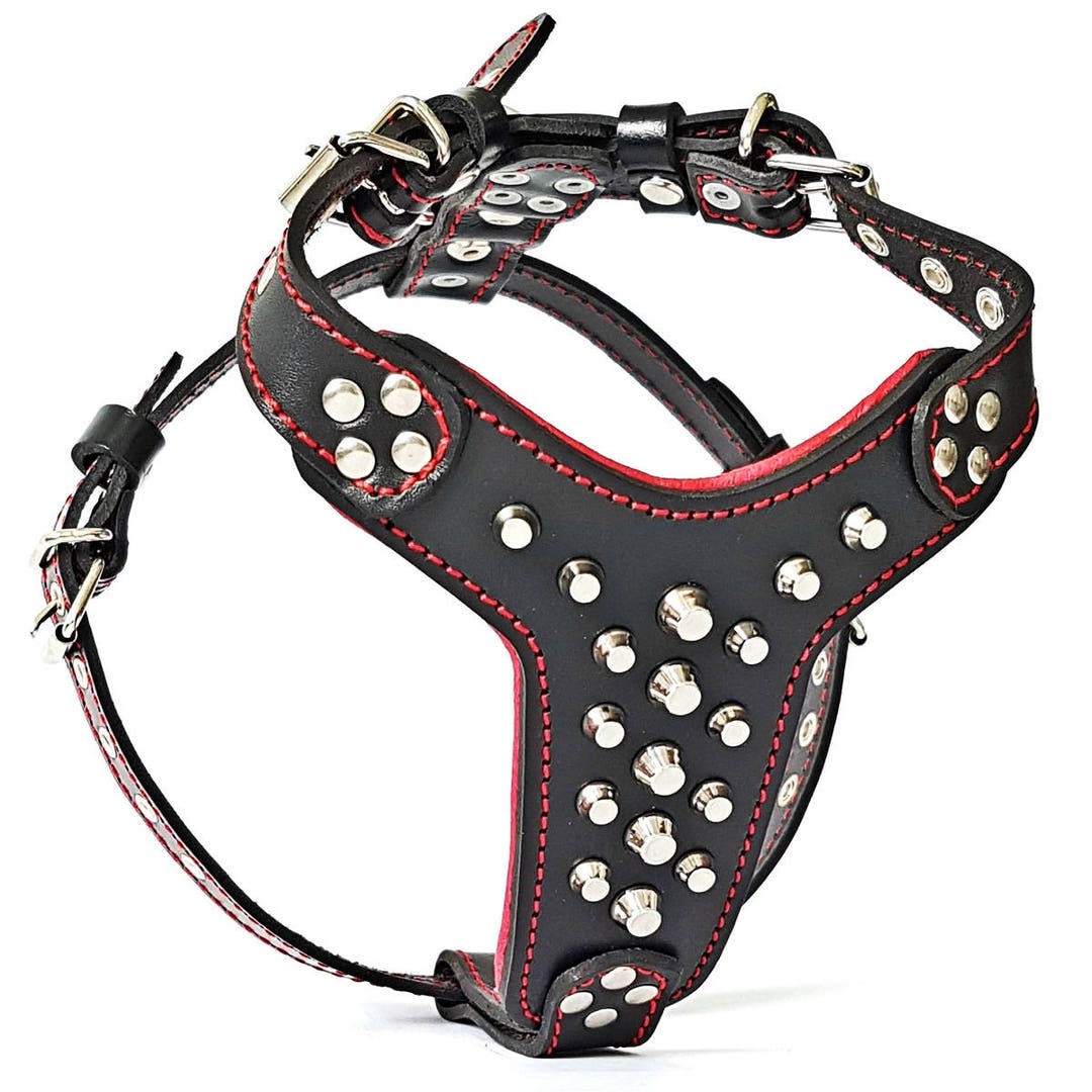 Bestia "rocky" Leather Studded Dog Harness. 100% Hand Made & Genuine ...