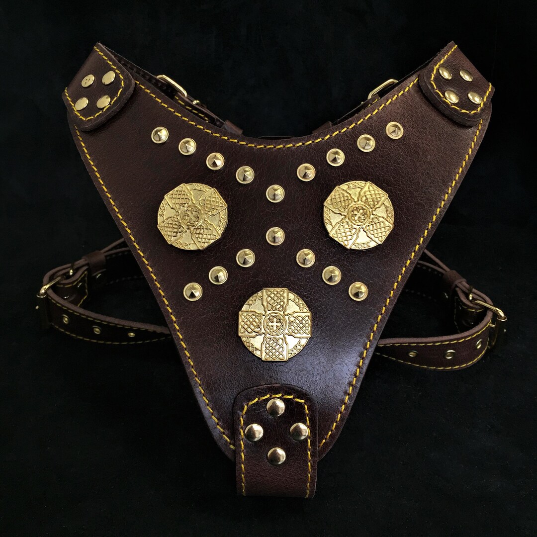 Bestia™ Genuine Leather "maximus Golden" Harness. Old Golden Rivet ...