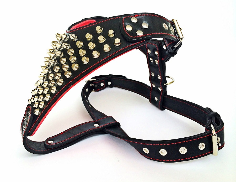 Bestia™ Genuine Leather gladiator Harness. Spikes | Etsy Canada