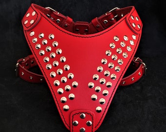 Star Chest Harness - Etsy