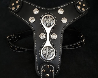 Bestia™ Genuine Leather gladiator Harness. Spikes | Etsy