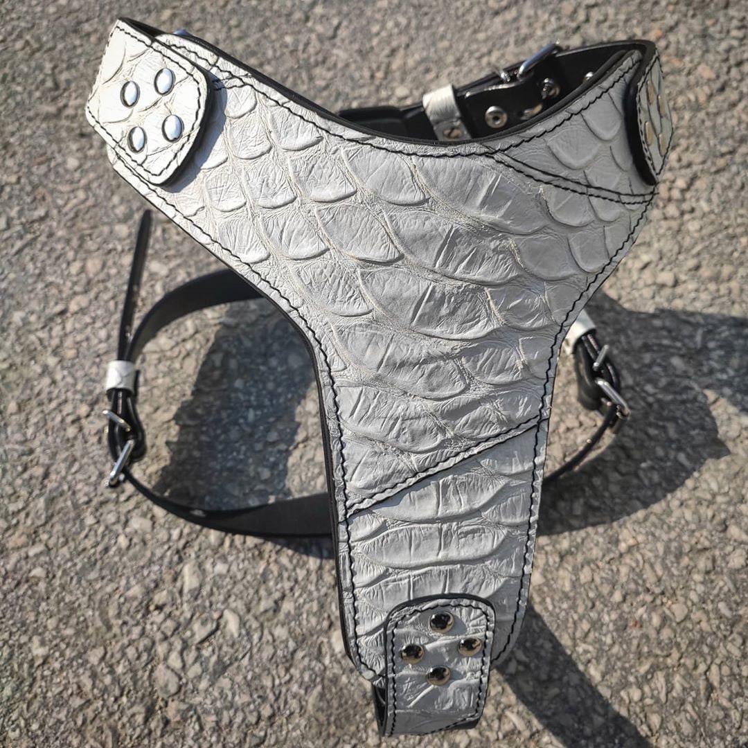 Bestia the ''dragon Scale'' Harness - Etsy