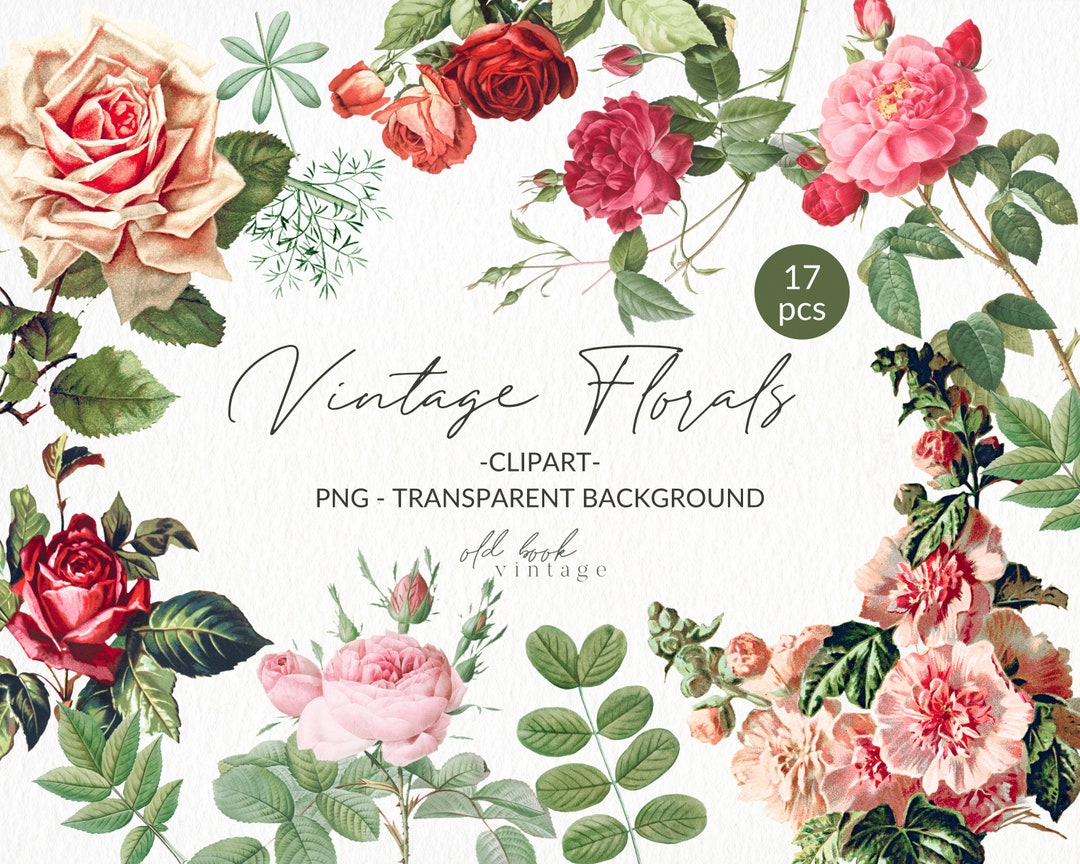 Vintage Floral Clipart / 17pcs /free Commercial Use / Digital Vintage ...