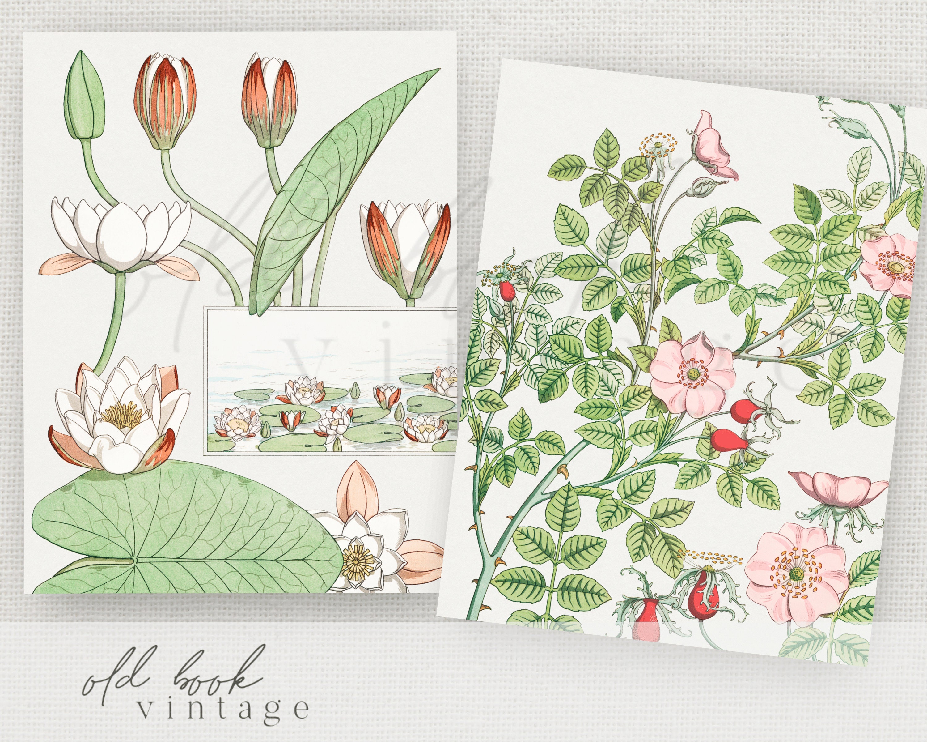 Vintage Botanical Printable Paper Pack / 10pcs / 8.5x11 / - Etsy