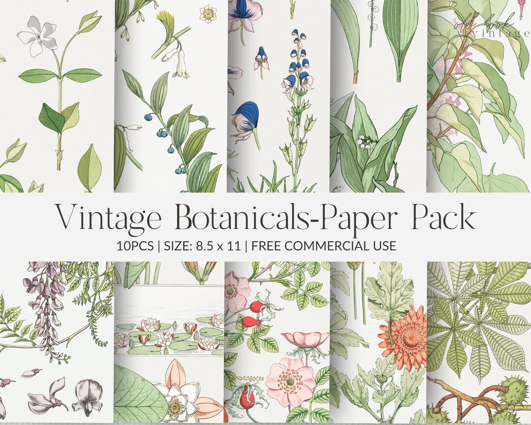 Vintage Botanical, Printable Paper Pack / 10pcs / 8.5x11 / Free ...