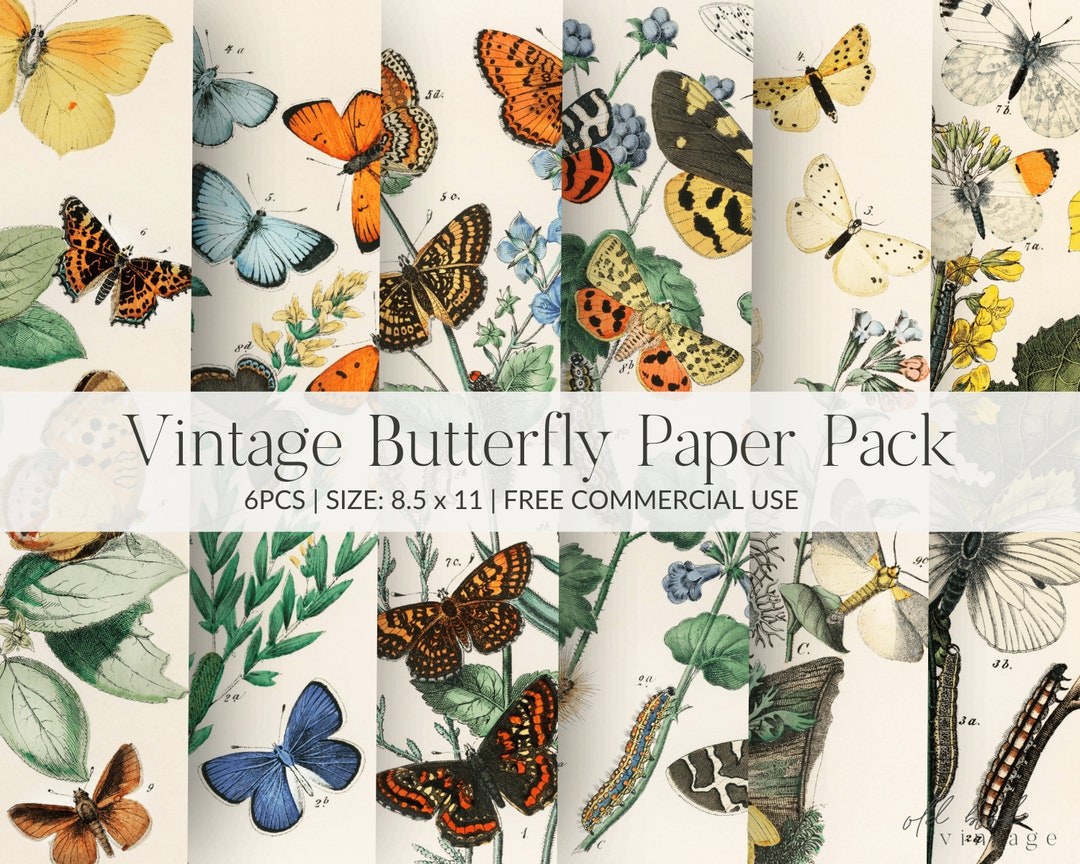 Vintage Butterfly Paper Pack, Printable / 6 Pcs / 8.5 X 11in / Digital ...