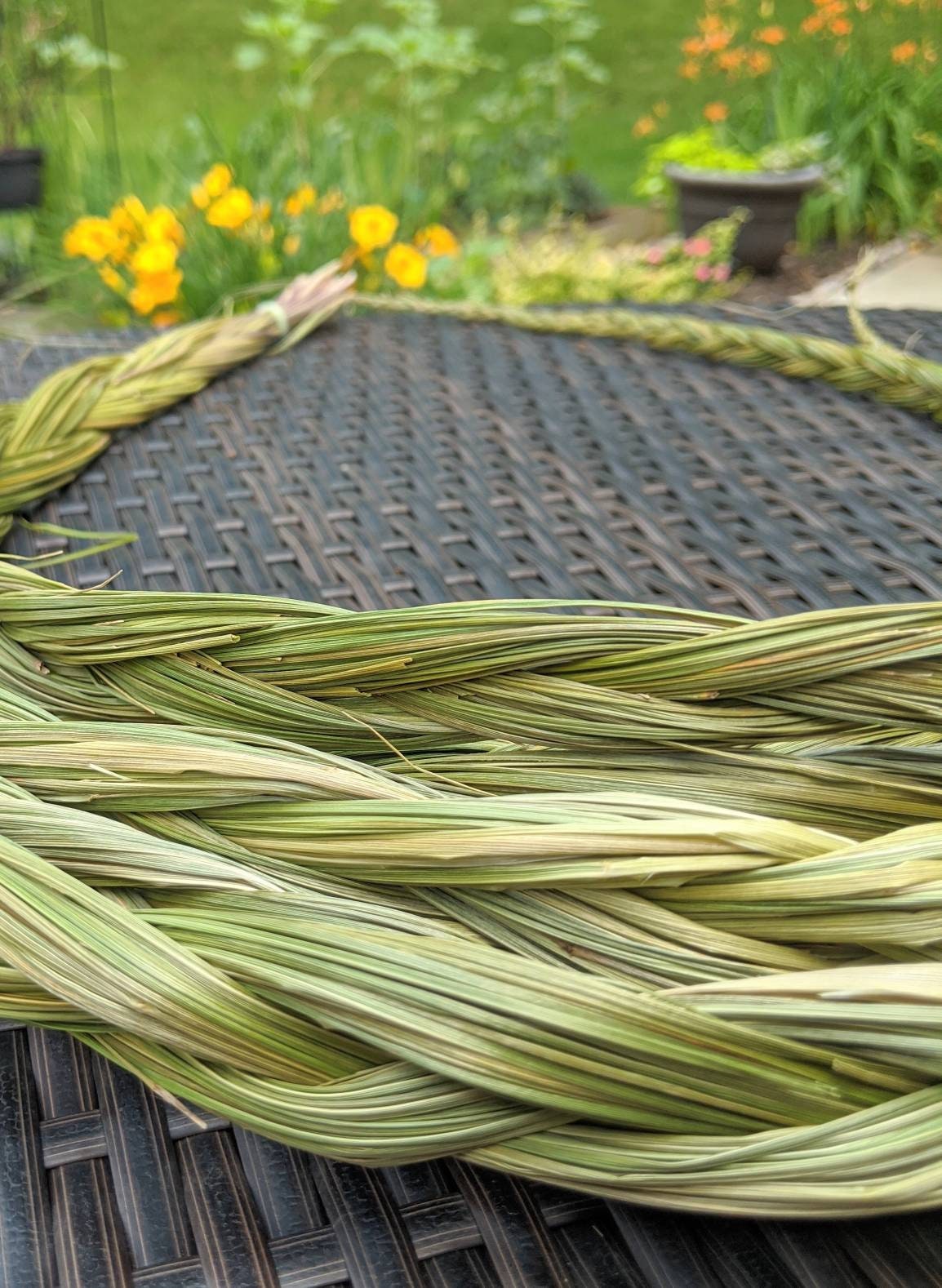 Braiding Sweetgrass