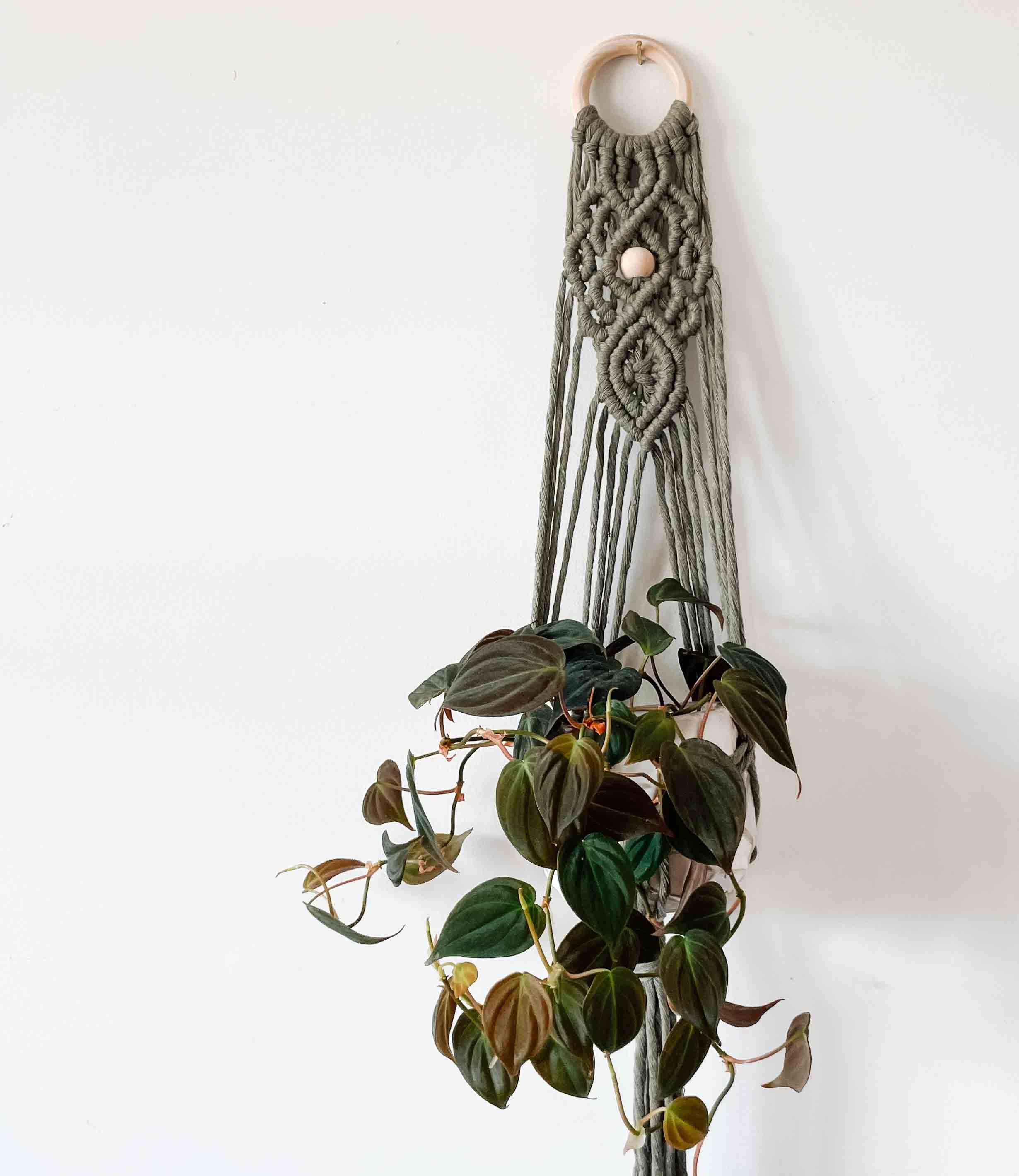 Macrame Wall Plant Hanger on Wood Ring - Etsy