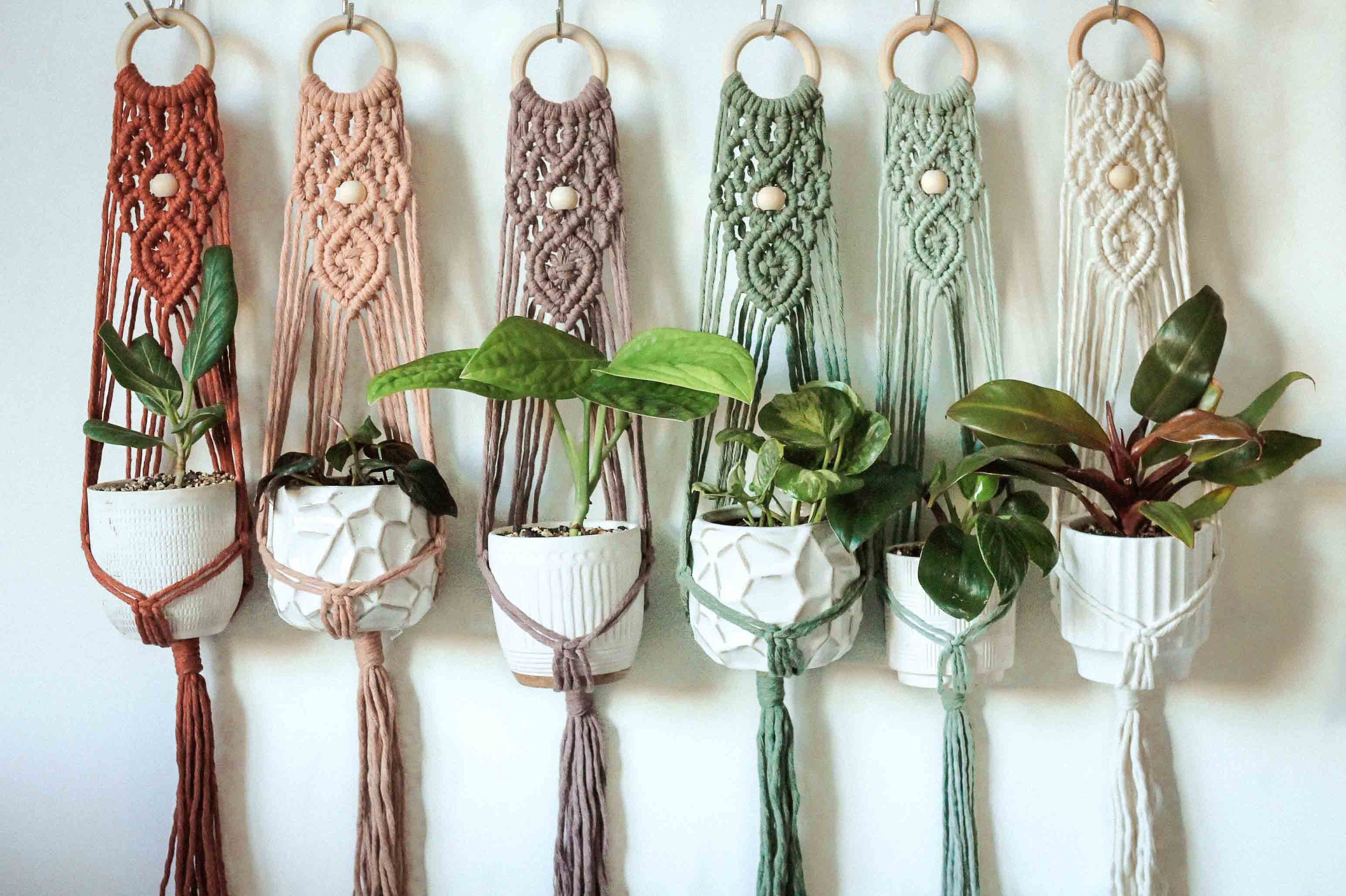 Macrame Wall Plant Hanger on Wood Ring - Etsy