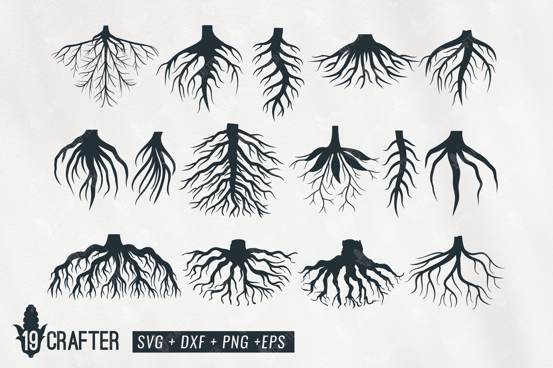 Plant Roots Svg Bundle, Root Svg, Root Clipart, Root Illustration ...
