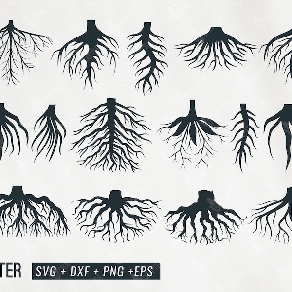 Root Svg - Etsy