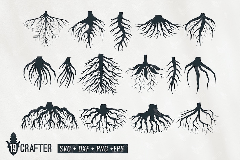 Plant wortels svg bundel, wortel svg, wortel clipart, wortel ...