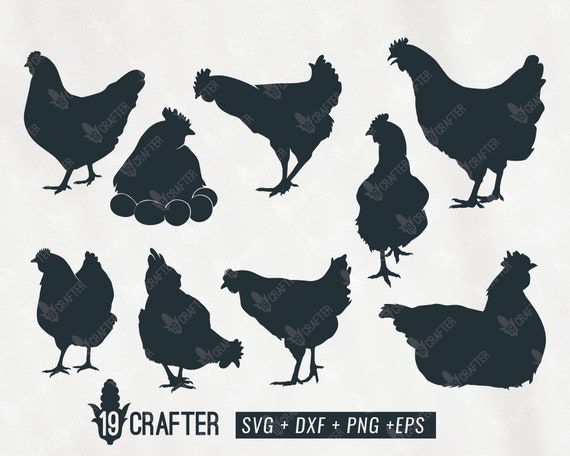 Poulet de poule svg bundle poule aux œufs clipart de poule | Etsy France