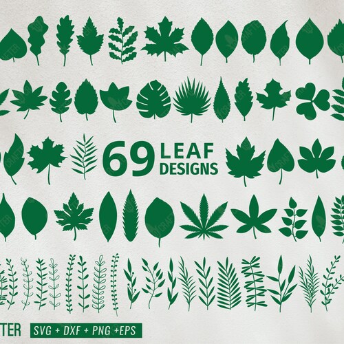 Paper Leaves SVG Leaf Templates Cut Files for Cricut - Etsy