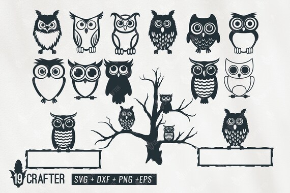 Owl Svg Bundle Cute Owl Svg Bundle Owl Perched on Tree | Etsy