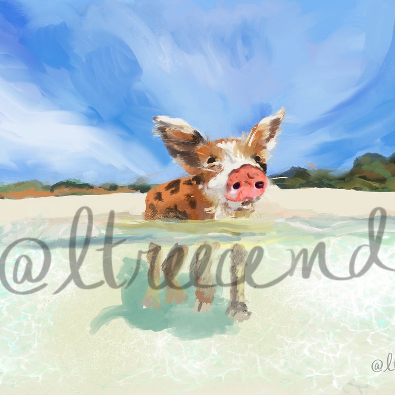 Swimming Pigs - Etsy