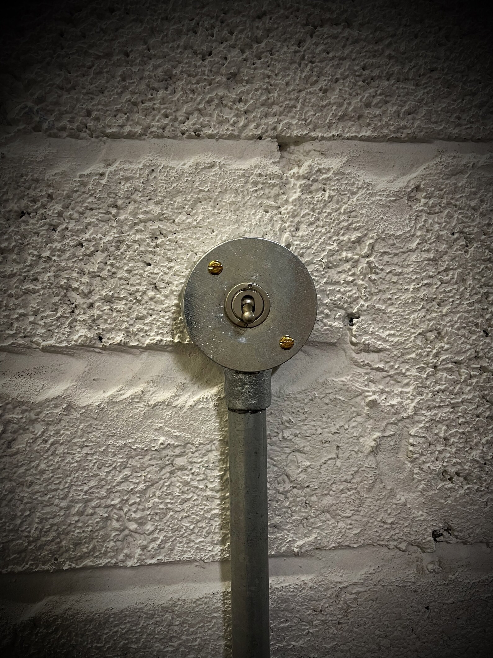 Conduit Box Toggle Switch in Brushed Chrome Finish - Etsy