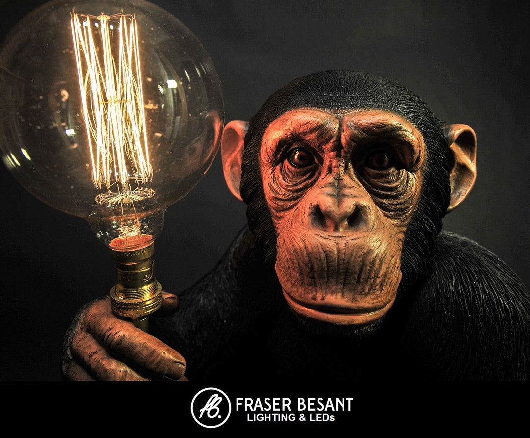 Large Chimp Floor Light Handmade With LED Lamp Included - Etsy UK