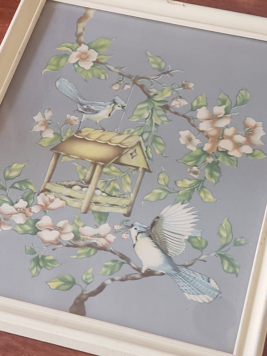 Vintage Framed Bird Picture - Etsy
