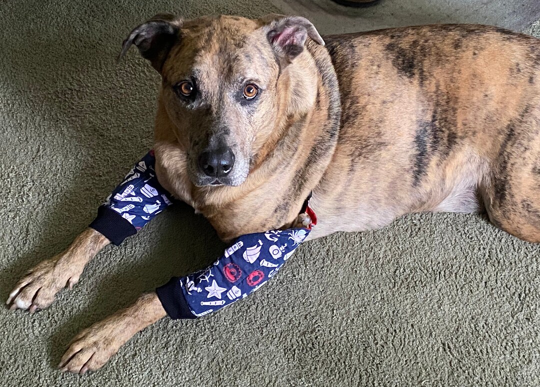 Padded Dog Elbow Protectors: Hygroma & Arthritis Relief - Etsy