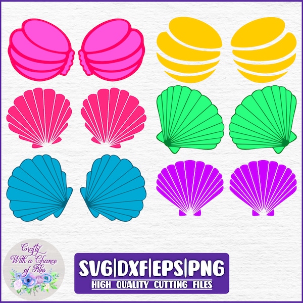 Shell Svg - Etsy