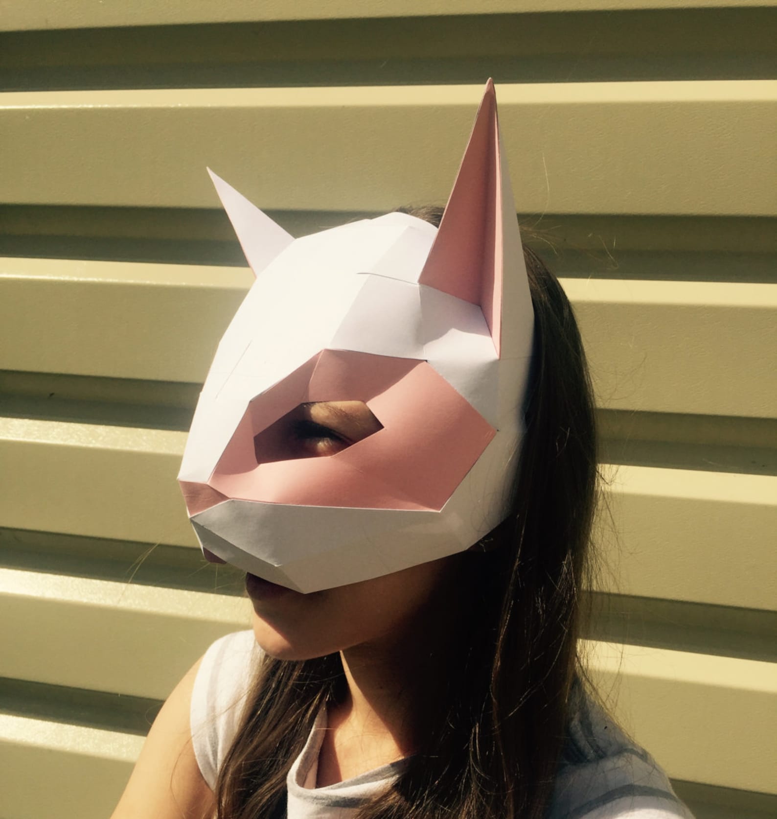 DIY Cat Mask/paper Cat Mask/diy Mask/fancy Dress/halloween Mask ...