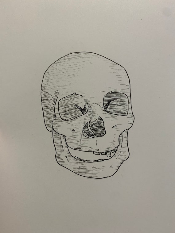 Carol Orzel Skull Illustration | Etsy