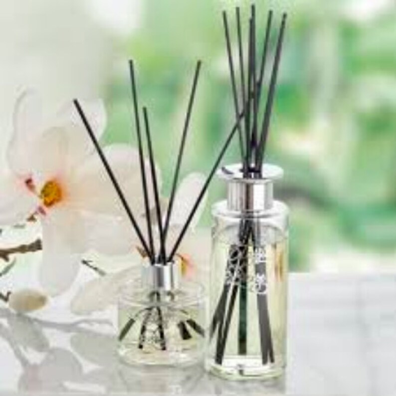 Amazon Rainforest Fragrance Oils - Etsy