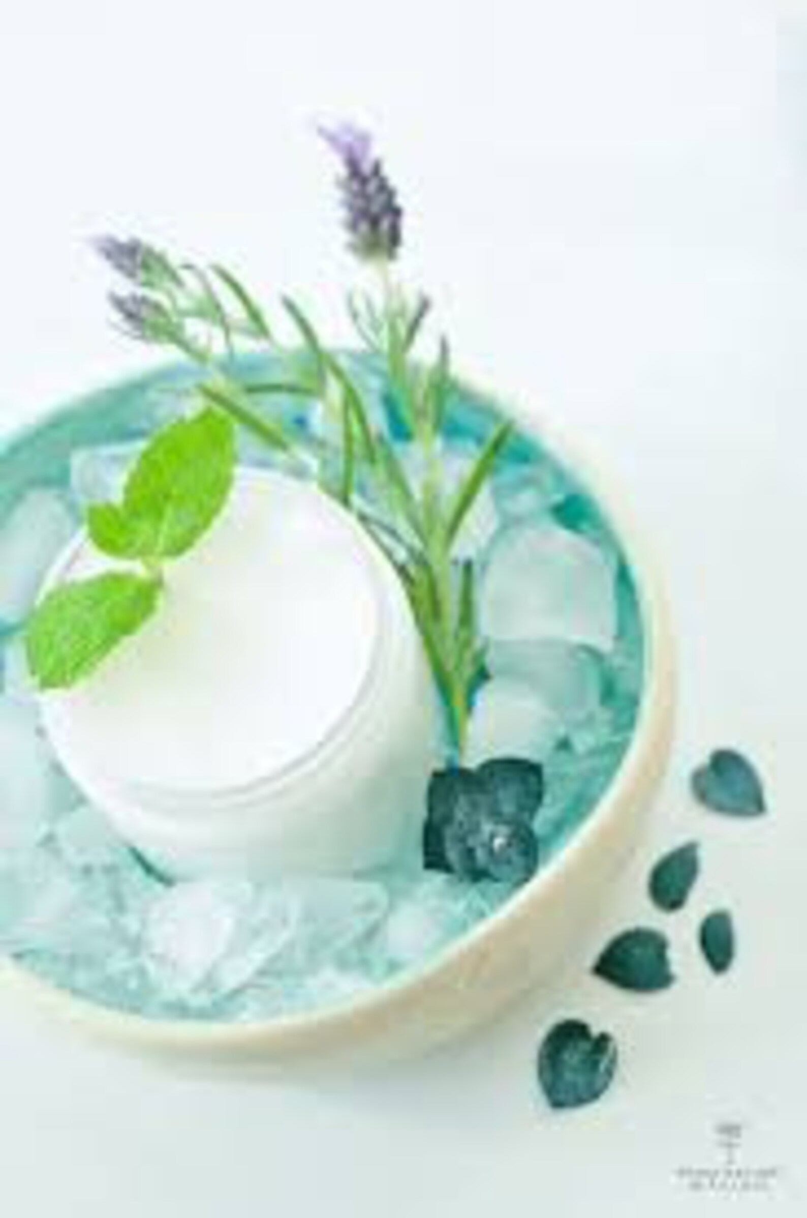 Menthol Eucalyptus Fragrance Oil - Etsy