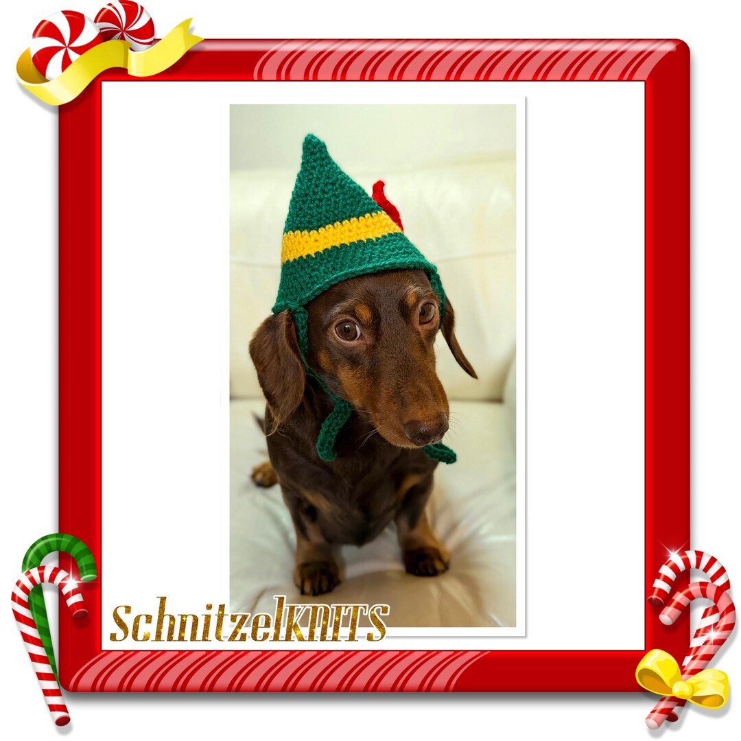 Buddy the Elf Inspired Dog Hat. Christmas Elf Dog Hat - Etsy