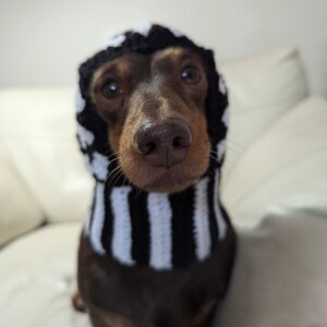 Granny Square Black and White Dog Hood. Dog Balaclava. Dog Clothes ...