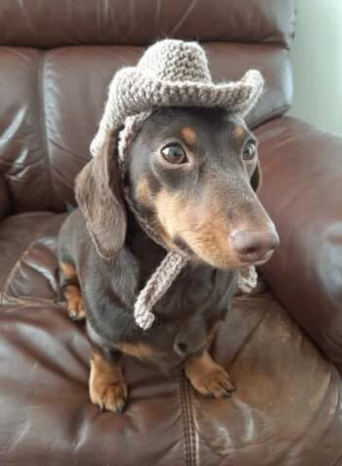 Cowboy/cowgirl Dog Hat. Western Dog Hat. American Dog Hat. Dachshund ...