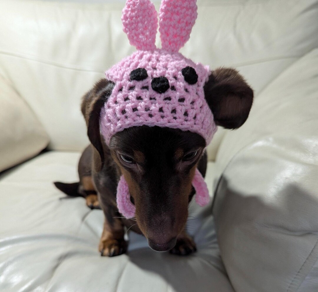 Peeps Inspired Bunny Dog Hat. Easter Dog Hat. Dachshund Hat. Dog ...