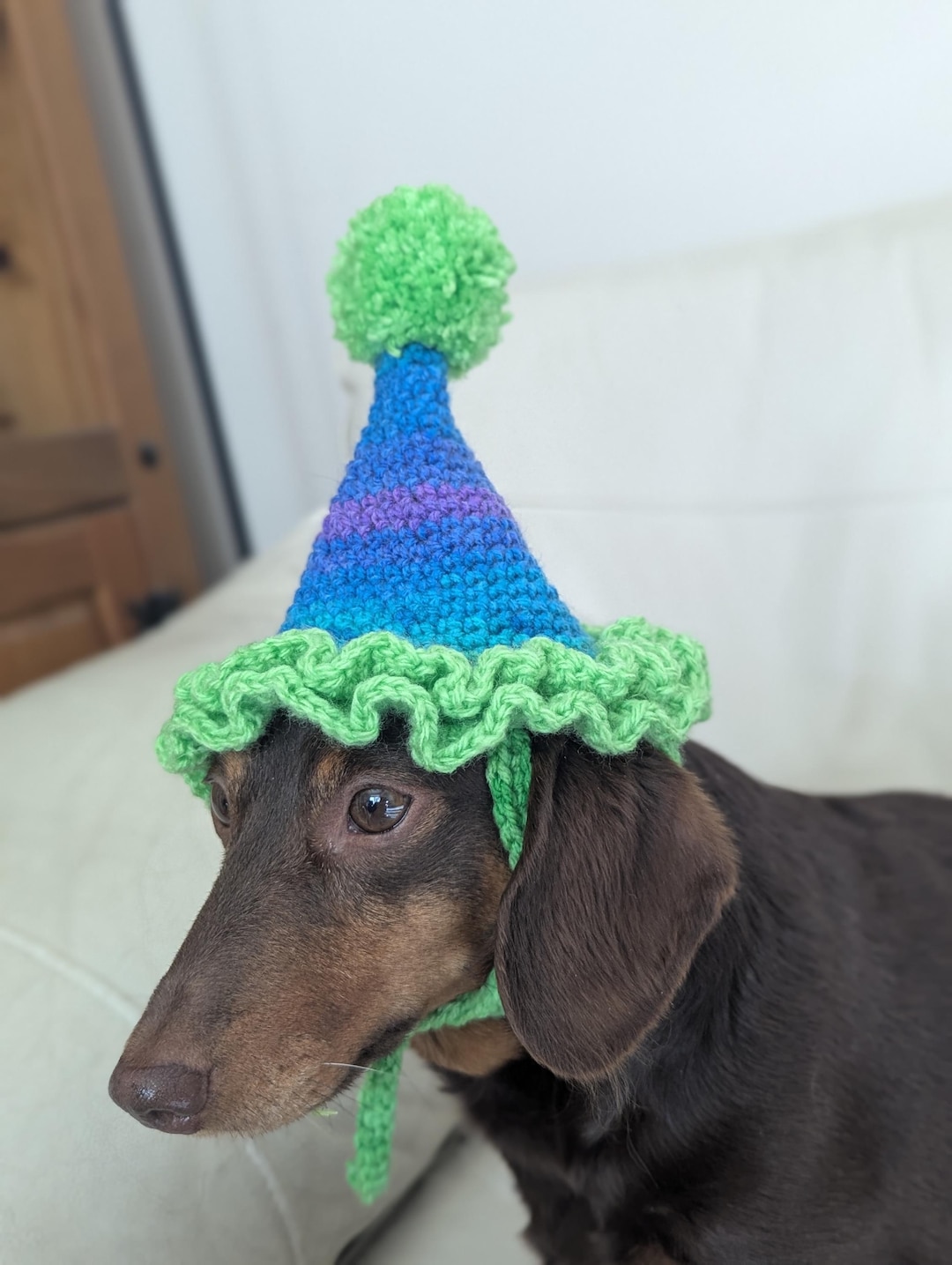 Party Hat for Dog With Pom-pom.birthday Hat for Dog. Cute Dog Hat ...