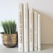5 Ivory Book Set, off White Books, Ivory Books, Bookshelf Decor ...