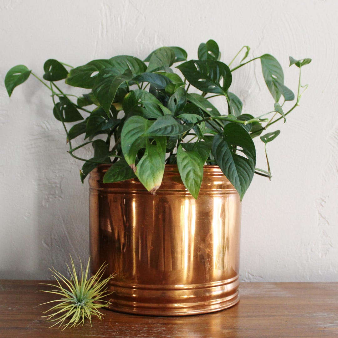Vintage Copper Planter, Copper Plant Pot, Round Planter, Plant Holder ...