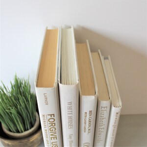 5 Ivory Book Set, off White Books, Ivory Books, Bookshelf Decor ...