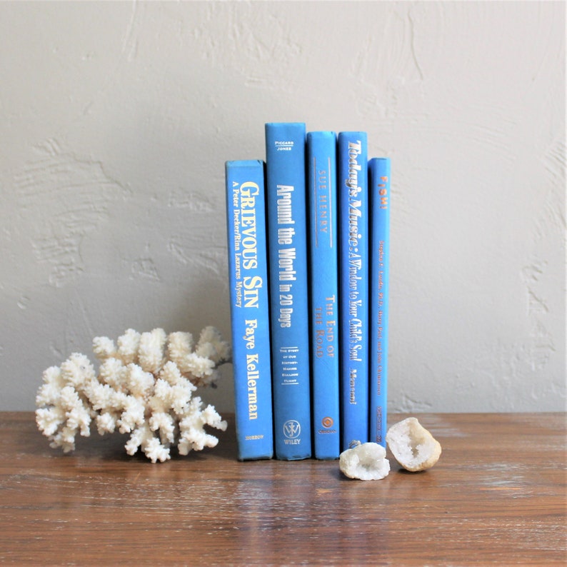 5 Sky Blue Book Set, Bright Blue Books, Cerulean Books, Bookshelf Decor ...