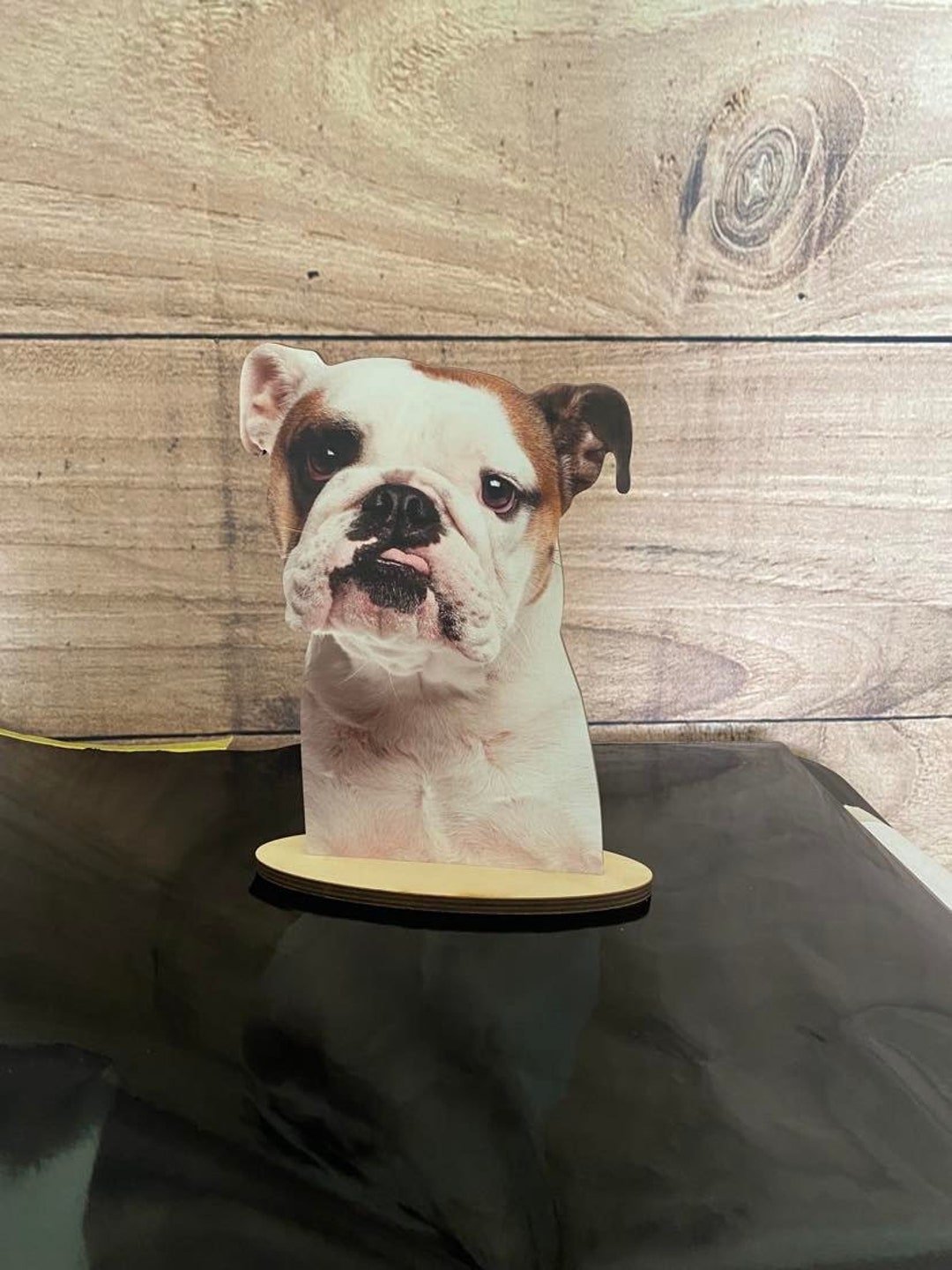 Bulldog, Bulldog, Dog Collar Display,dog Accessory Display,dog Bandana ...