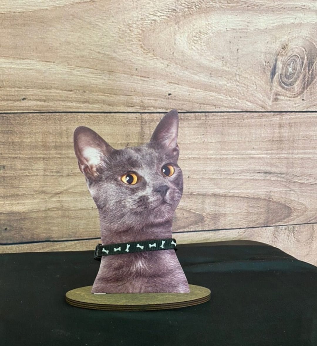 Cat,feline, Cat Mannequin, Cat Display,kitten, Cat Accessory Display ...