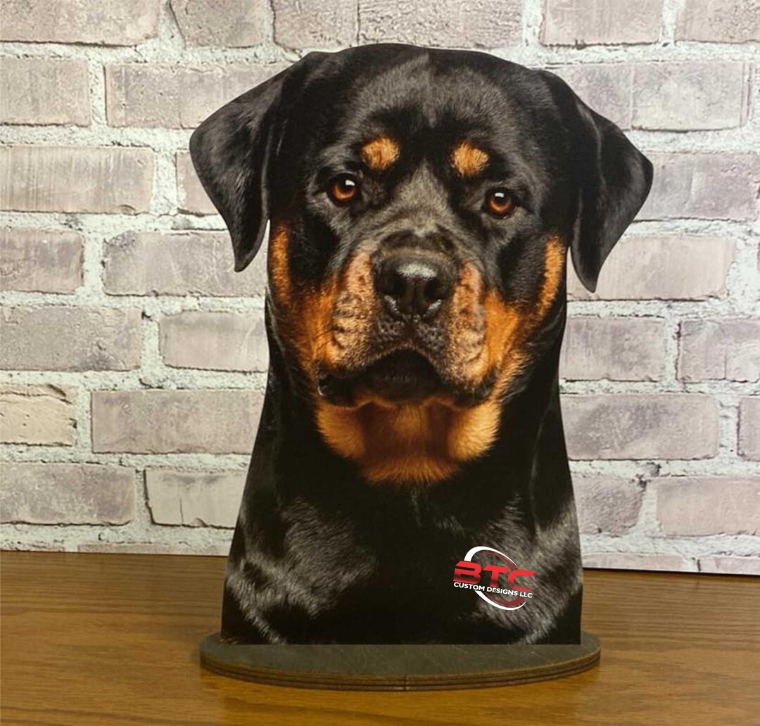 Rottweiler, Rottie, Rottweiler Display, Rottie Display, Rottweiler ...