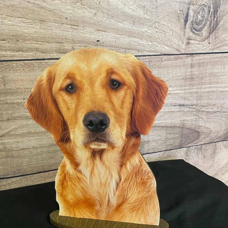 Collar Stand Display - Etsy